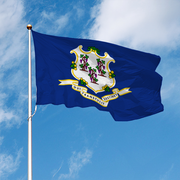 AMI resellers - State Flags